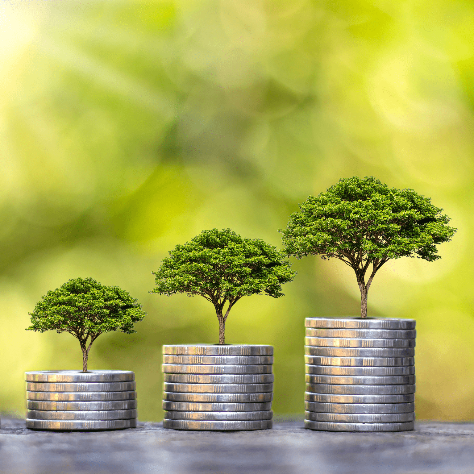 Triple comptabilité : vers des projets durables | SERUE Ingenierie