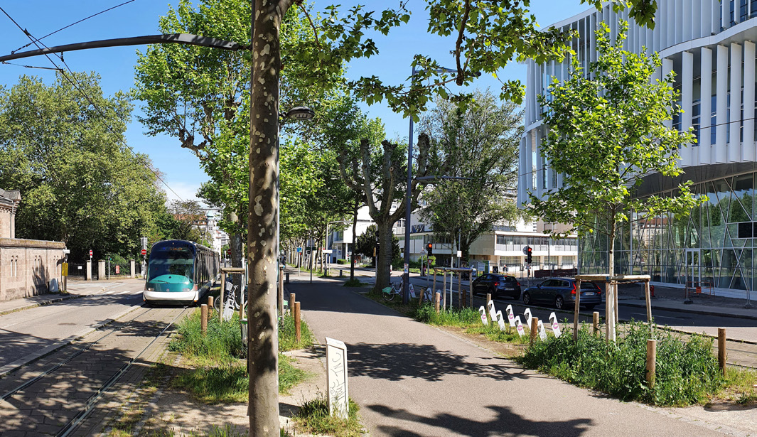 Extension du réseau de tramway entre Strasbourg, Schiltigheim et ...